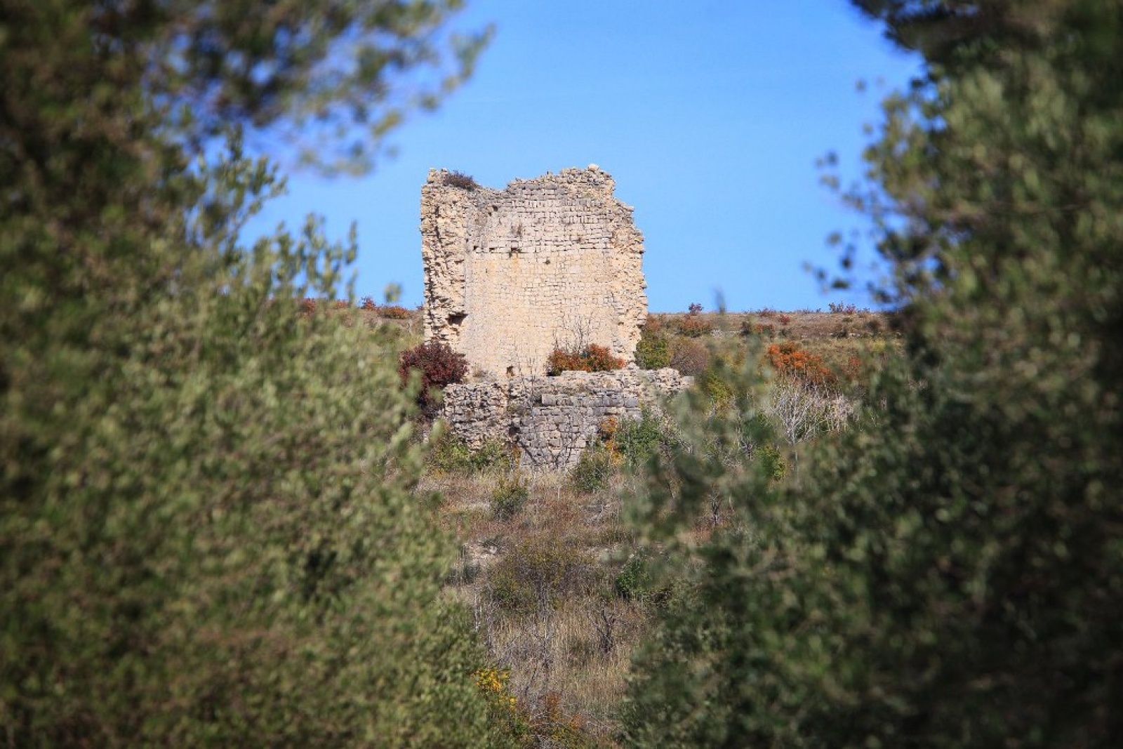 Lepuri Tower – AymoCha!